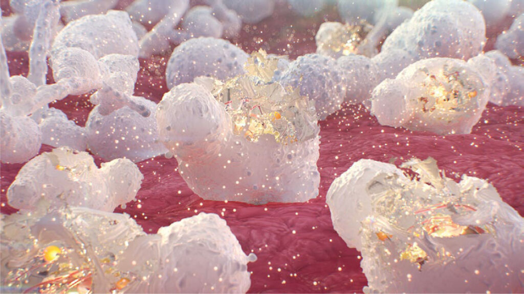 The VIVJOA Difference - Vivjoa HCP