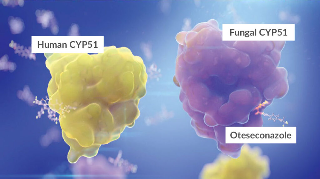 The VIVJOA Difference - Vivjoa HCP