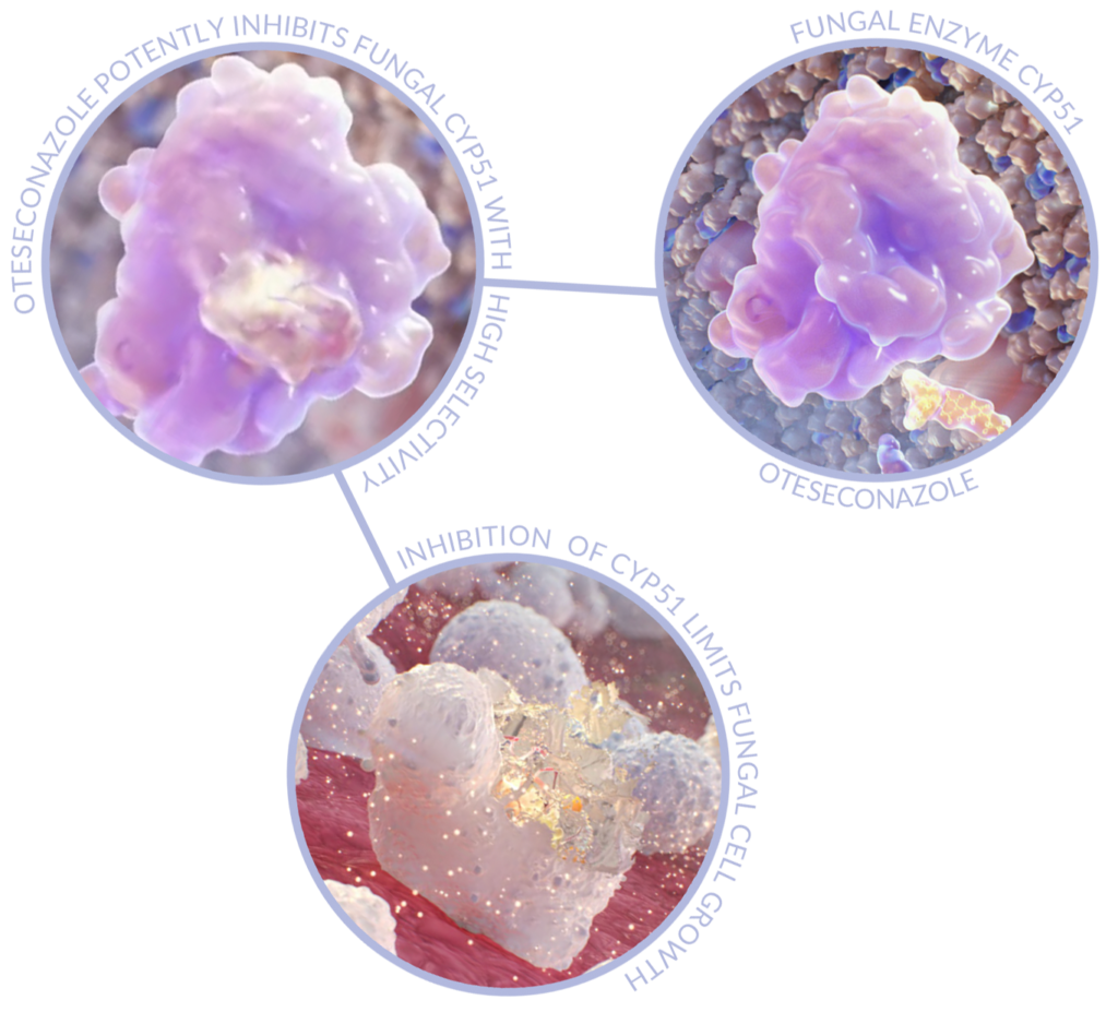 The VIVJOA Difference - Vivjoa HCP